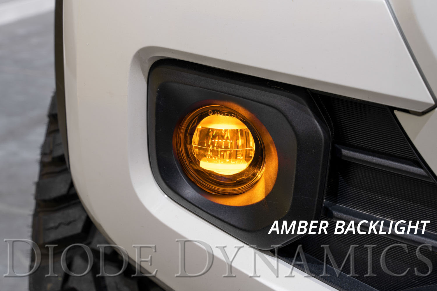 Elite Foglamp Type B White (pair) – Speed of Light Customs